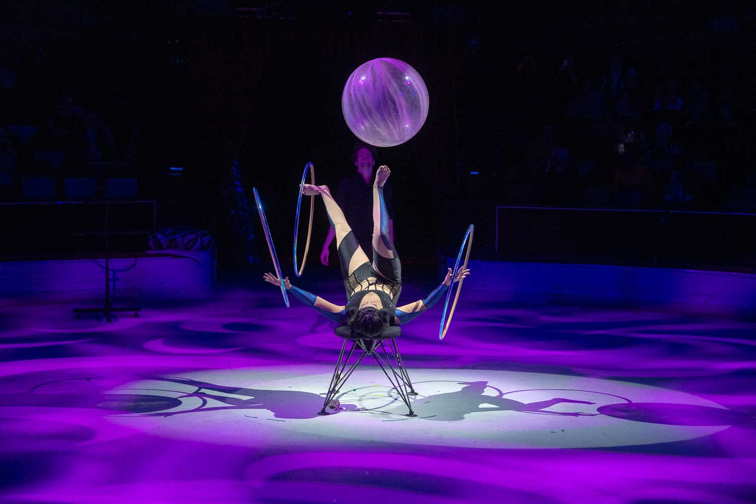 Budapest Circus Festival